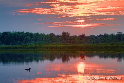 GORDON WOLFORD PHOTOGRAPHY/Ontario/Eastern Ontario/Birds of Eastern ...