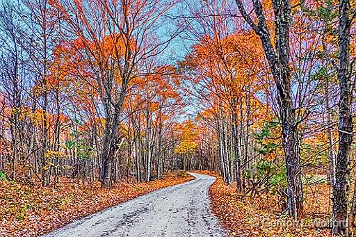 GORDON WOLFORD PHOTOGRAPHY/Ontario/Eastern Ontario/Landscapes of ...