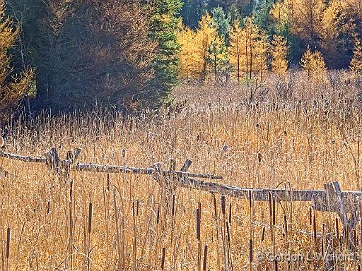 GORDON WOLFORD PHOTOGRAPHY/Ontario/Eastern Ontario/Landscapes of ...