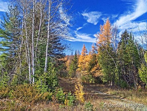 GORDON WOLFORD PHOTOGRAPHY/Ontario/Eastern Ontario/Landscapes of ...