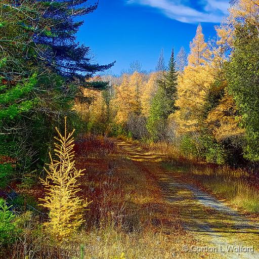 GORDON WOLFORD PHOTOGRAPHY/Ontario/Eastern Ontario/Landscapes of ...