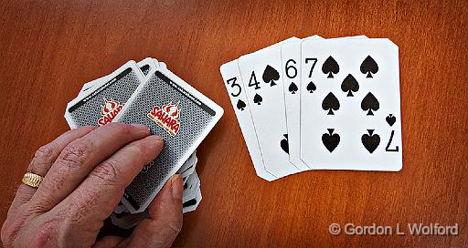 GORDON WOLFORD PHOTOGRAPHY/Ontario/Eastern Ontario/This 'n That of ...