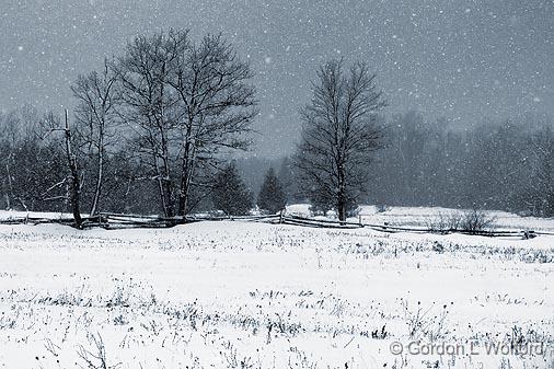 GORDON WOLFORD PHOTOGRAPHY/Ontario/Eastern Ontario/Winter 2009-2010 ...