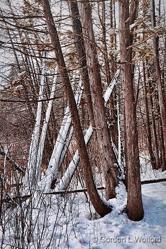 GORDON WOLFORD PHOTOGRAPHY/Ontario/Eastern Ontario/Winter Scenes/Criss ...